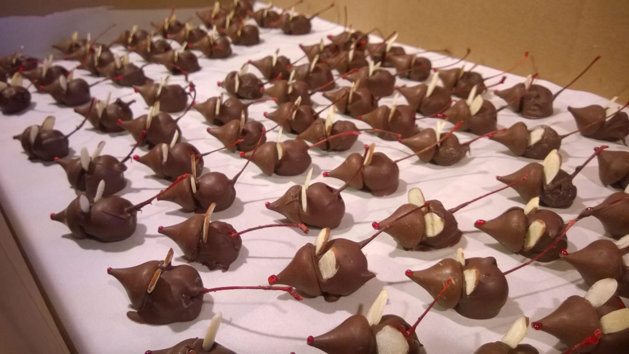 Chocolate Mice – Cutting the Apron Strings